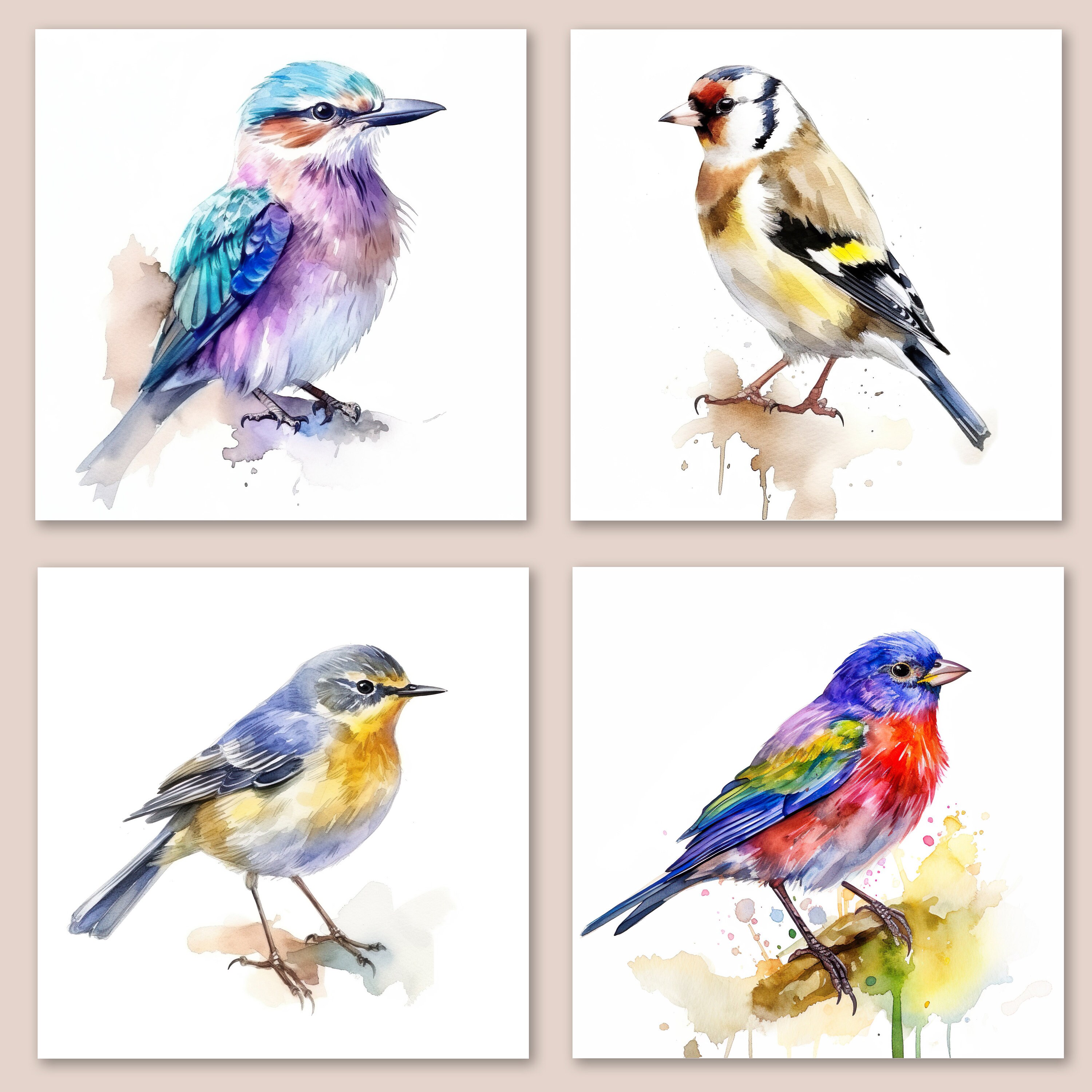 20 Small Bird Watercolor Clipart, Variety of Little Birds Illustration ...