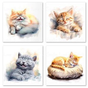 20 Sleeping Kitten Clipart, Cute Baby Cat Illustration, Digital ...
