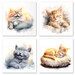 20 Sleeping Kitten Clipart, Cute Baby Cat Illustration, Digital ...