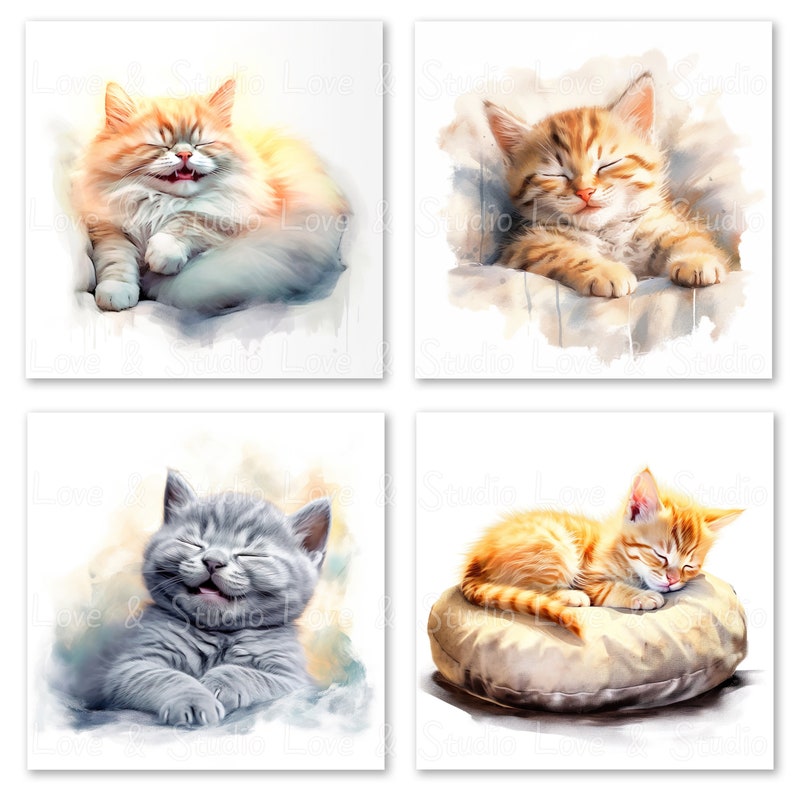 20 Sleeping Kitten Clipart, Cute Baby Cat Illustration, Digital ...