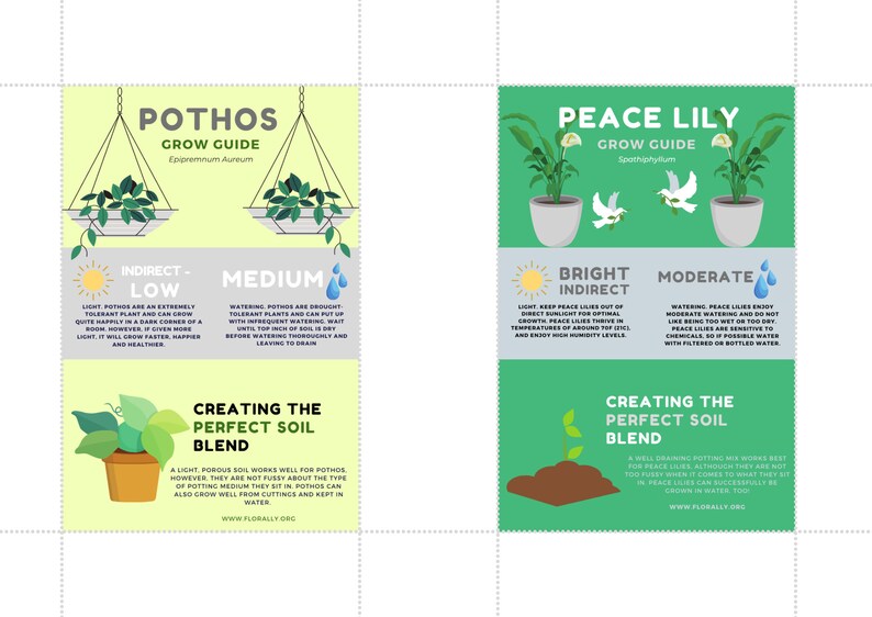 Printable Plant Care Guides-House Plants Print Plant Poster | Etsy