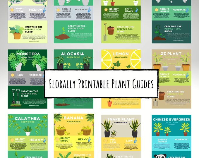 Printable Plant Care Guides-house Plants Print- Plant Poster ...