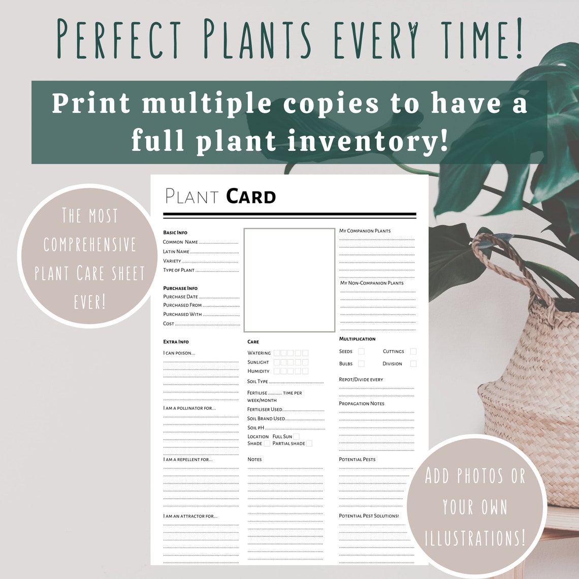 Plant Care Guide Printable Plant Care Sheet Plant Care - Etsy