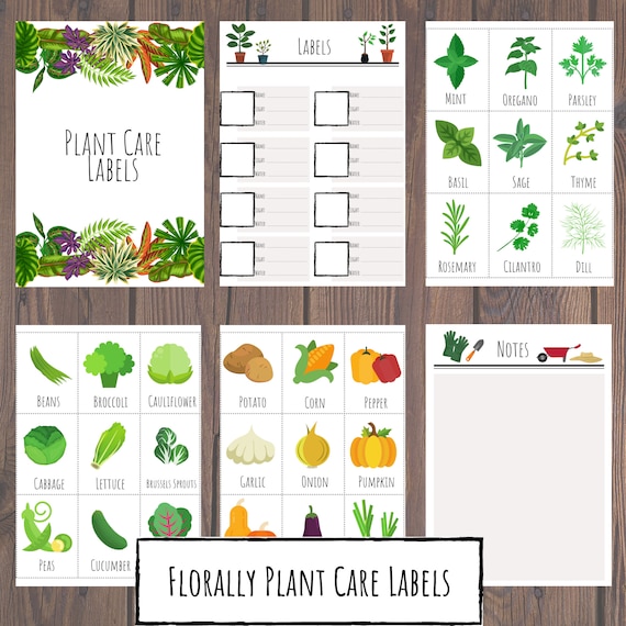 Plant Markers Printable Plant Labels Printable Plant | Etsy