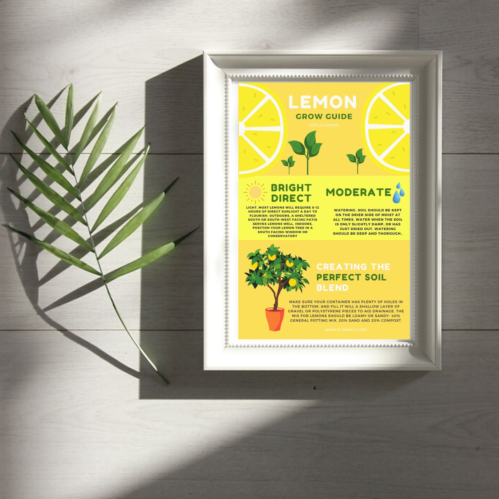 Printable Plant Care Guides house Plants Print Plant Poster Etsy Printable Plant Care Guides house Plants Print Plant Poster Etsy