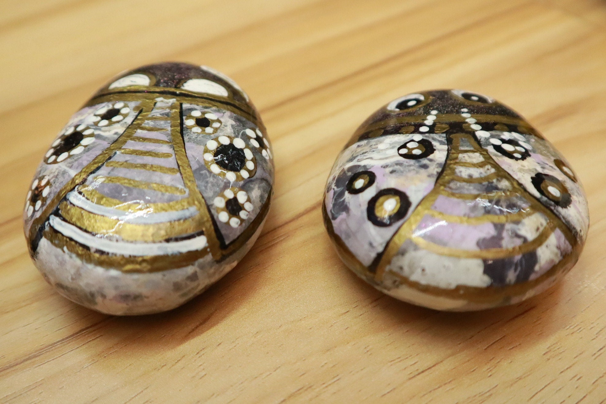 6 Ladybug Decorative Rocks Using Hydro Dipping. - Etsy