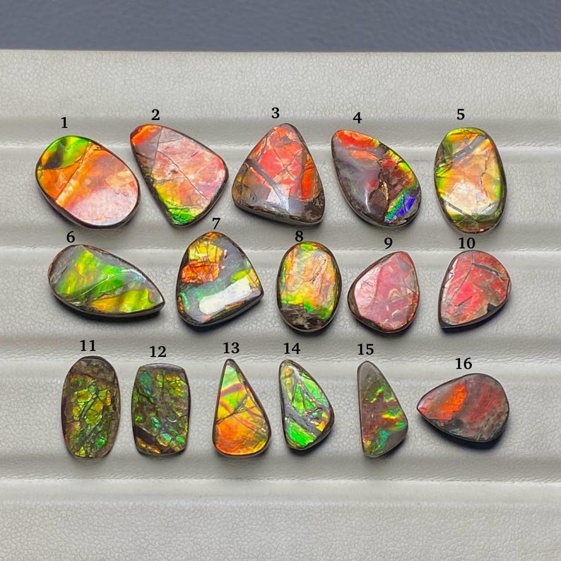 Ammolite Top Grade Quality 100% Natural Cabochon Loose Gemstone for ...