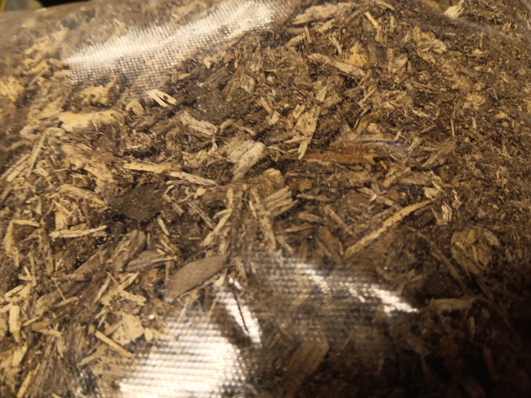 1 Gal FINE Grade Rotten Log Pre Baked Substrate Isopods Millipedes ...