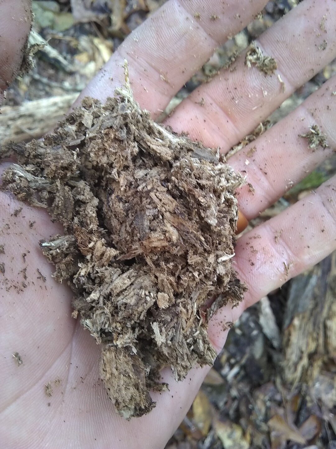 1gal Fine Grade 1gal Regular Grade Pre Baked Rotten Log Wood Pulp ...