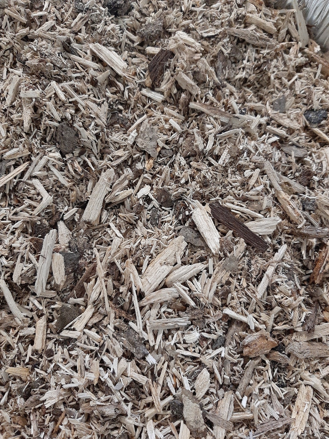 1quart Bag of Small Grade Rotten Log Wood Pulp Pre Baked - for ...