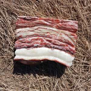 14 Lb 13oz Porkstone Slab Specimen Gemstone Crystal Home Decoration ...
