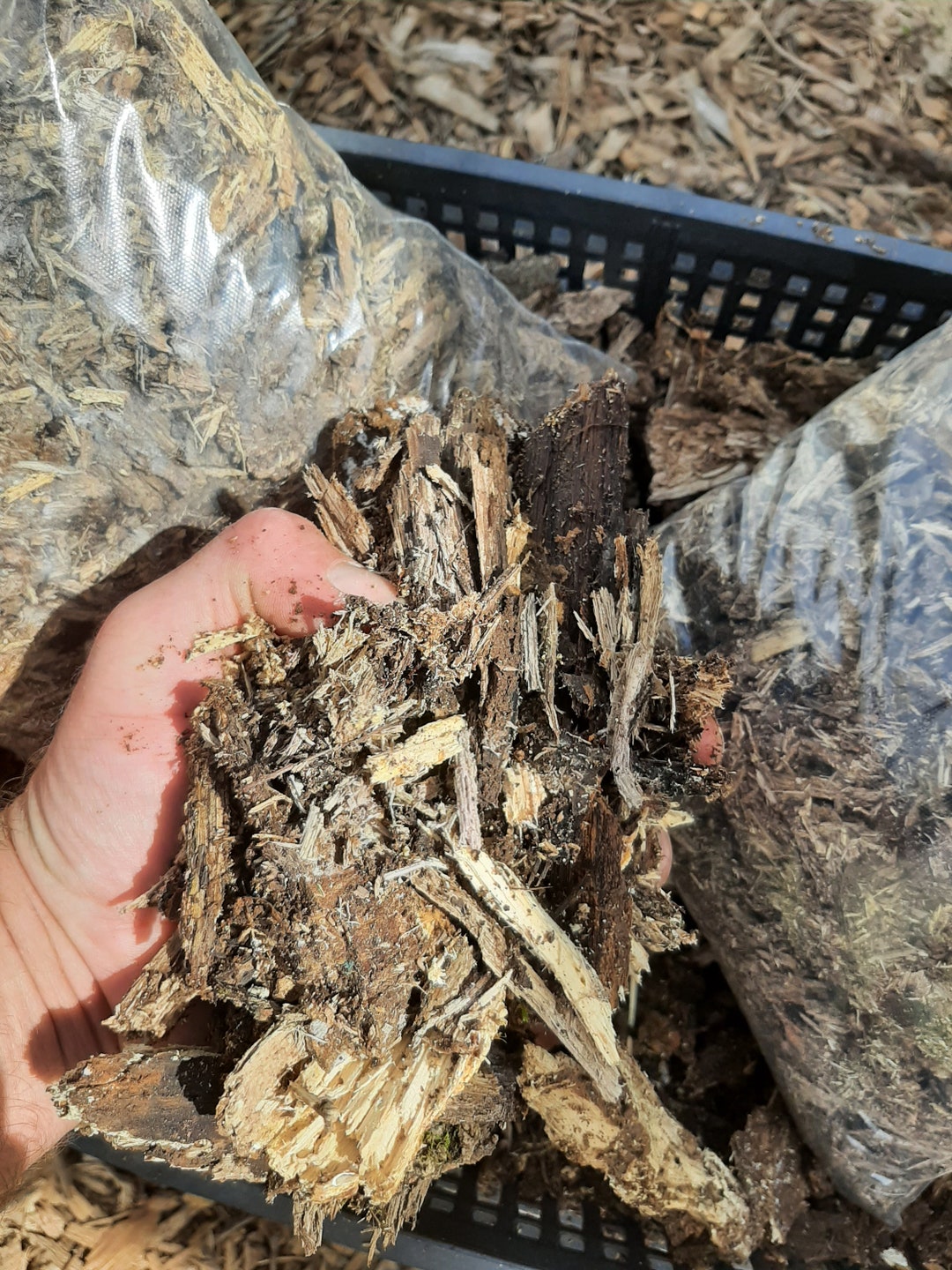 2 Gallons PRE BAKED Rotten Log. Substrate, Clean Source. for ISOPODS ...