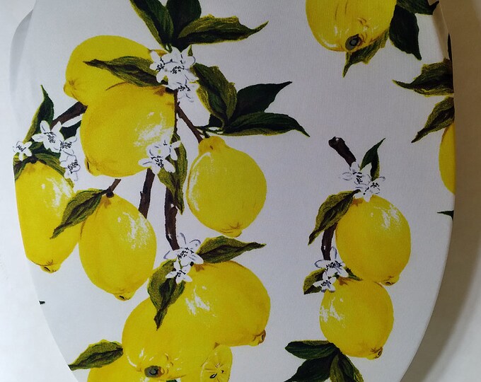 Fun Lemon Cloth Toilet Seat Lid Cover for Elongated Toilet. Easy ...
