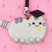 Grad Pusheen Necklace, Graduate Gift, Student Cat Jewelry, High School ...