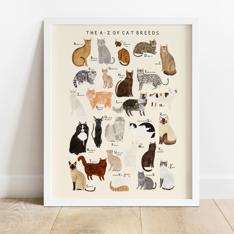 Cats and Breeds - Etsy