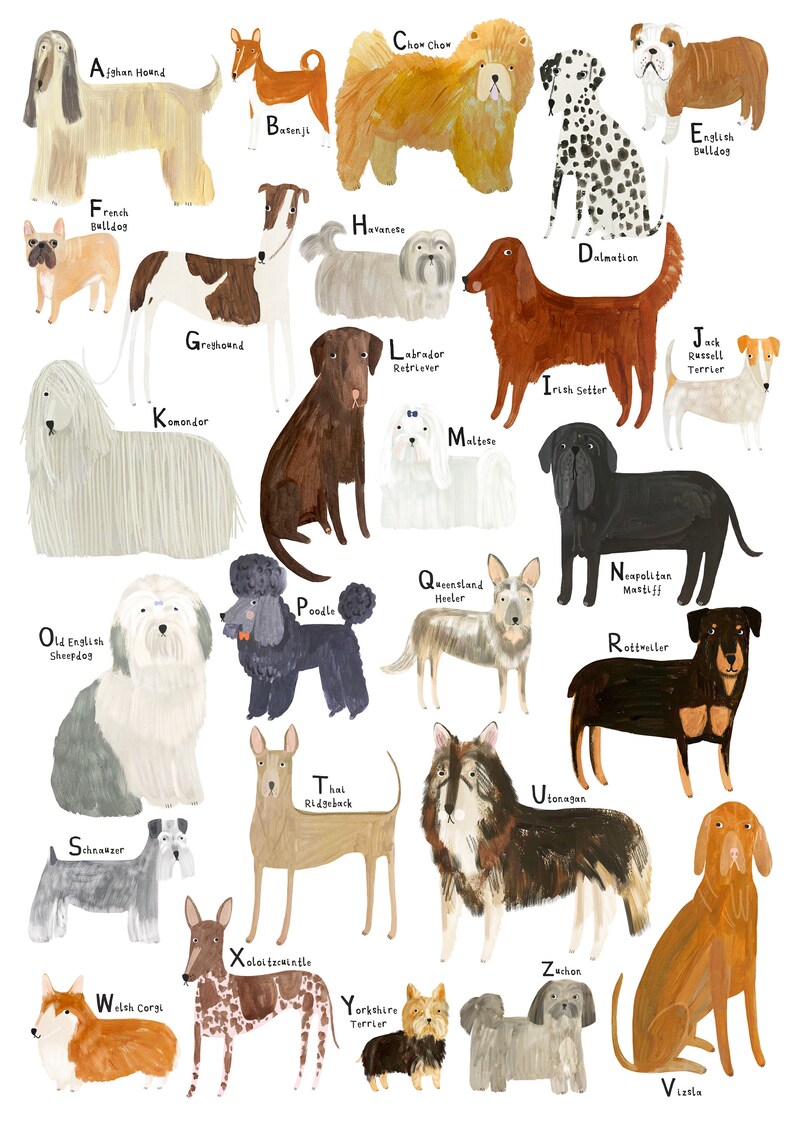 Dog Breeds Alphabet Print A-Z Identification Poster Chart - Etsy UK