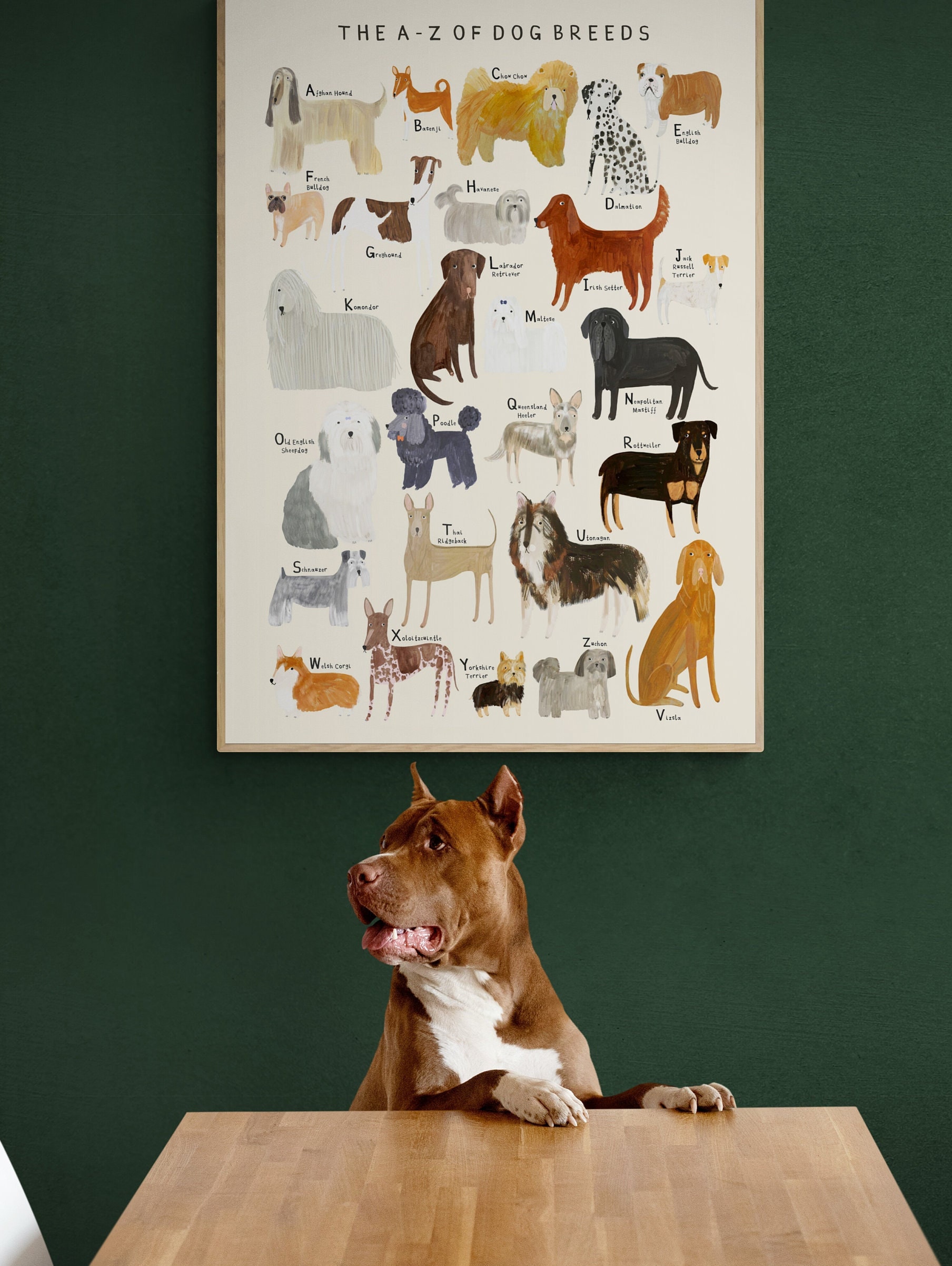 Dog Breeds Alphabet Print A-Z Identification Poster Chart - Etsy