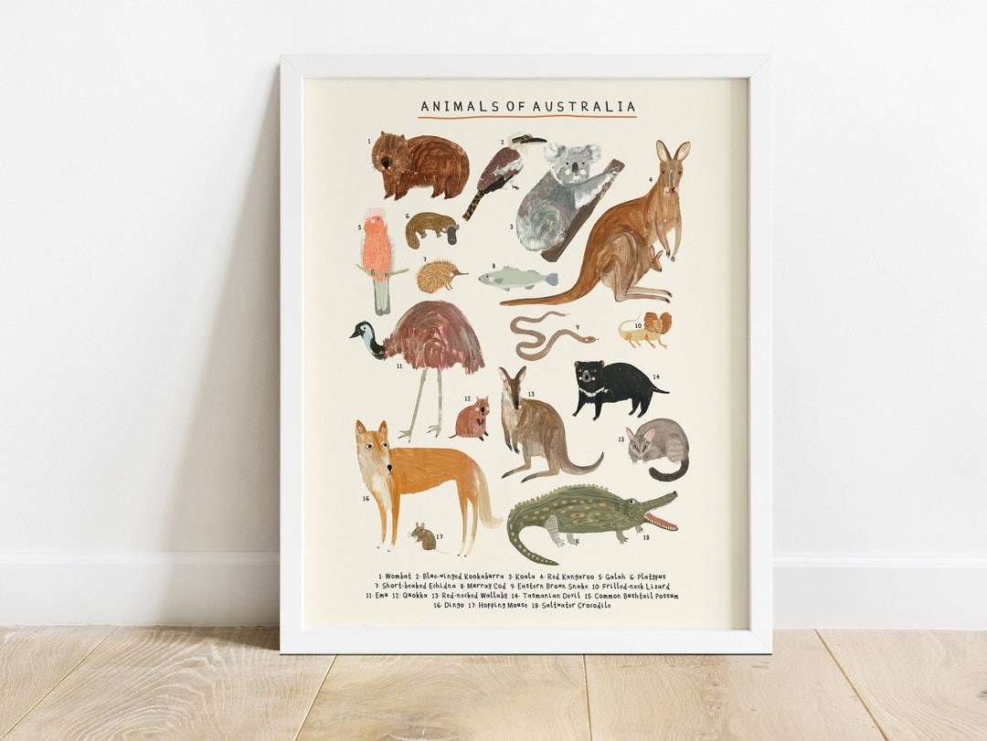 Australian Animals Continent Print | Oz Ozzie Australia Aussie Kangaroo ...
