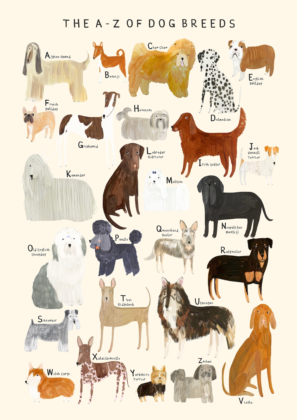 Dog Breeds Alphabet Print A-Z Identification Poster Chart - Etsy