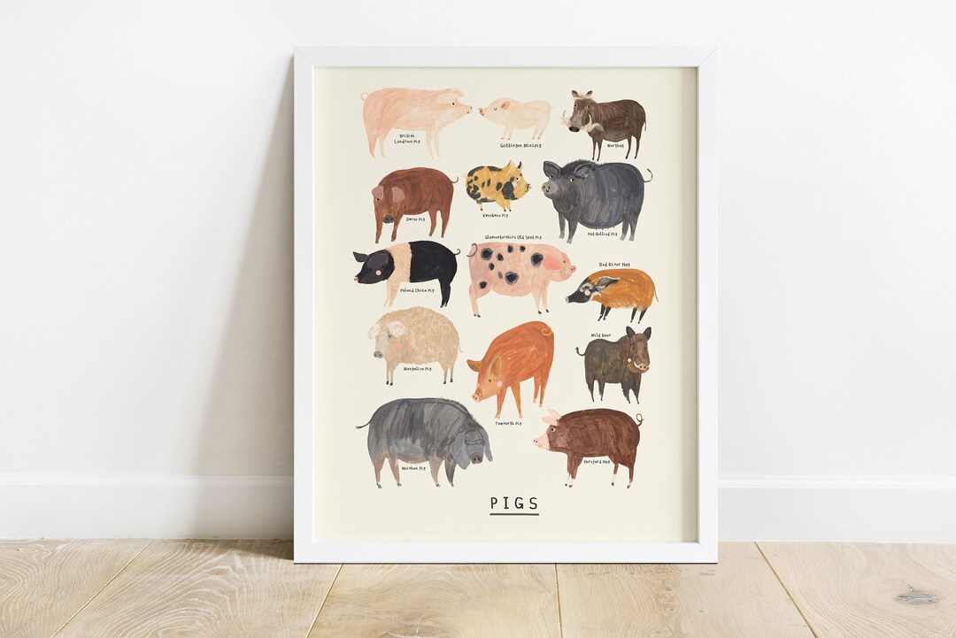 Pig Type Print | Pigs Identification Farm Breed Piggy Oink Minipig Pot ...