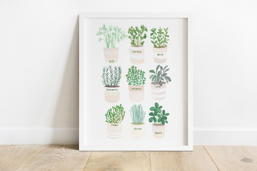 Herb Plant Pot Print | Food Foodie Veggie Vegetarian Illustration ...