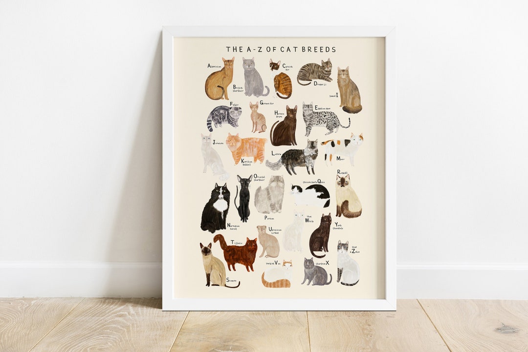 Cat Breeds Alphabet Print | A-Z Identification Poster Illustration Cats Breeds Pet Kitten Gift ...