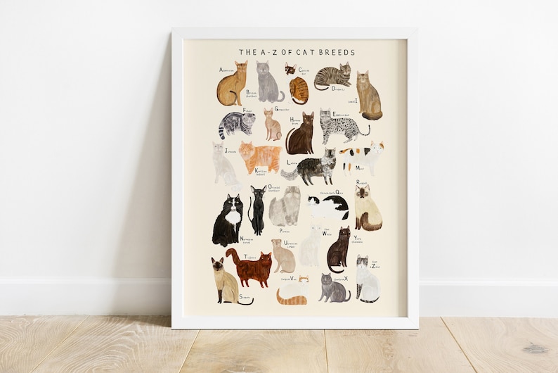 Cat Breeds Alphabet Print | A-Z Identification Poster Illustration Cats ...