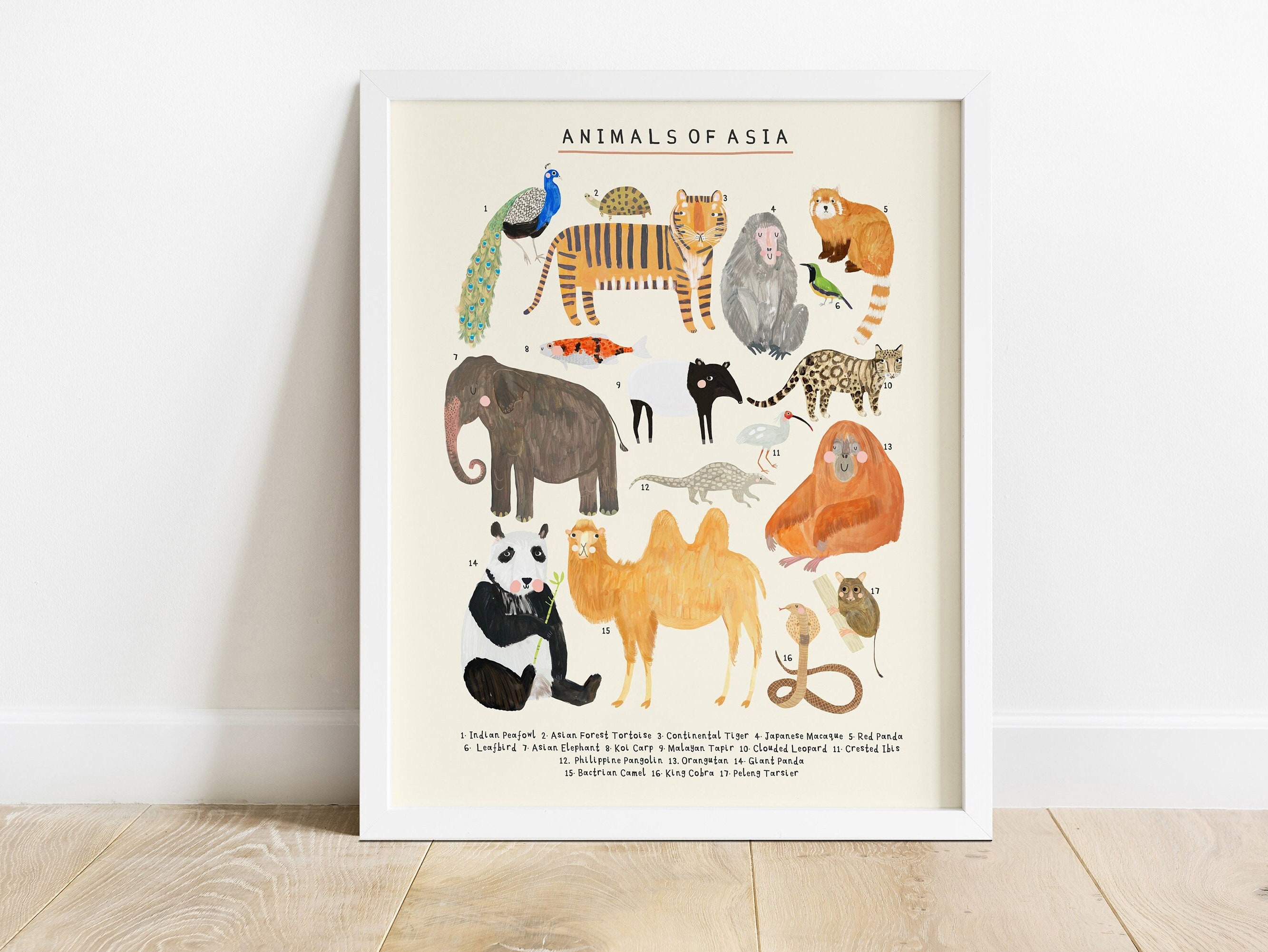 Asian Animals Continent Print | Asia Jungle Tiger Elephant Panda | Kids ...