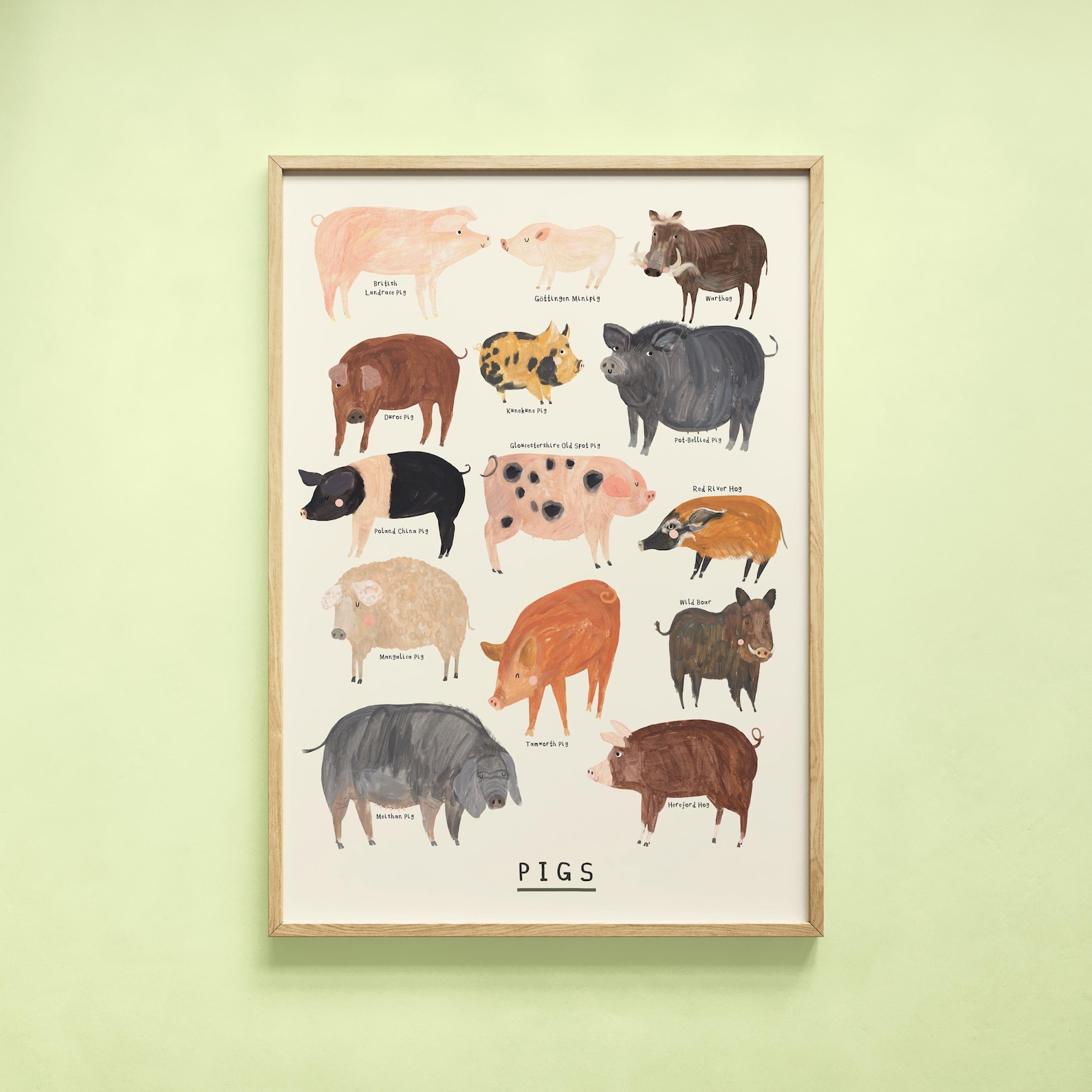 Pig Type Print | Pigs Identification Farm Breed Piggy Oink Minipig Pot ...