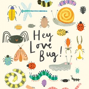 Love Bug Card | Insect Bugs Birthday Card Funny Humour Greeting Card ...