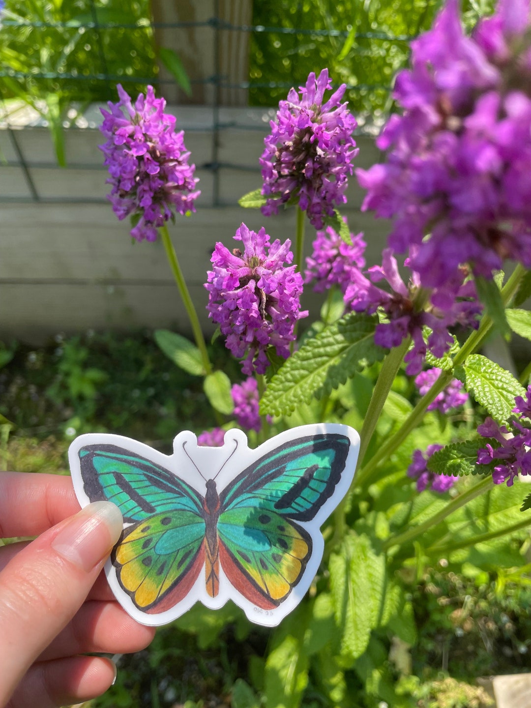Green Butterfly Sticker, Nature Sticker, Die Cut Sticker, Insect ...