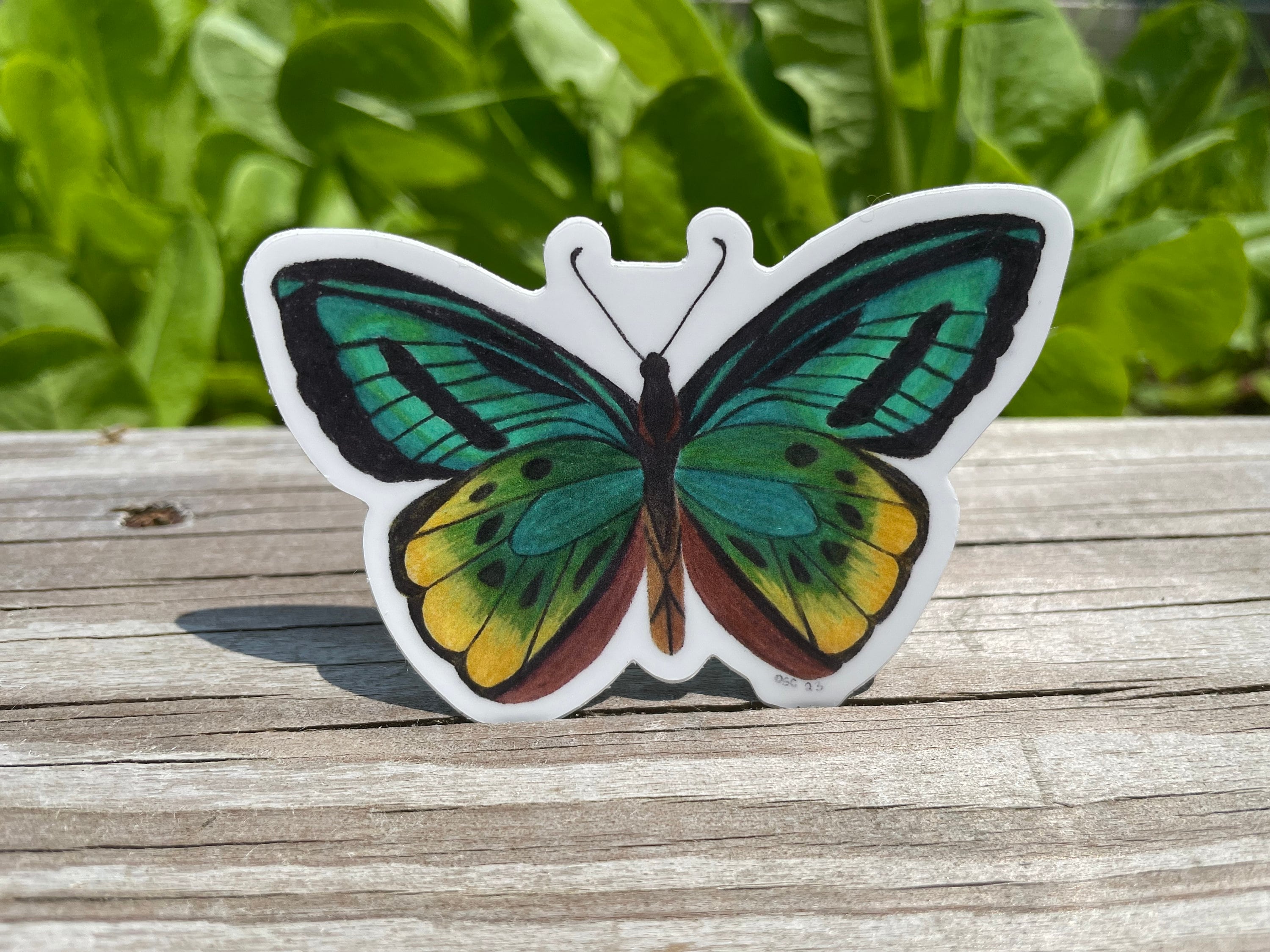 Green Butterfly Sticker, Nature Sticker, Die Cut Sticker, Insect ...