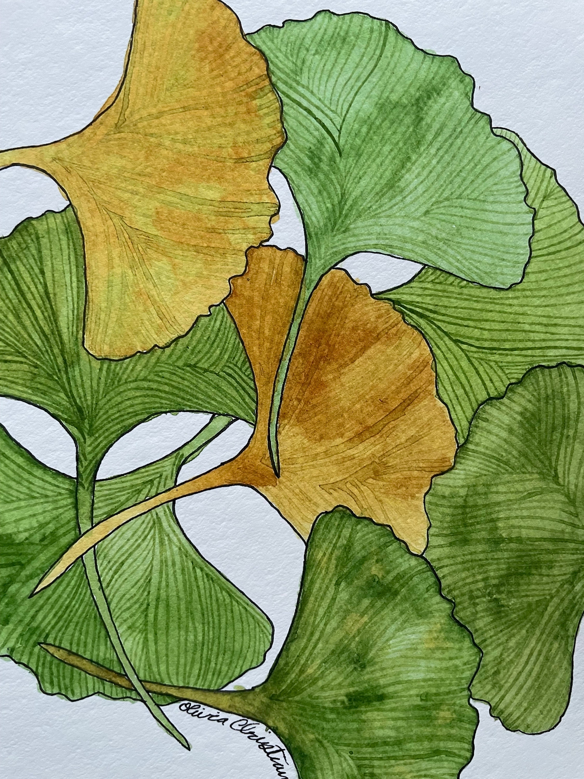 Ginkgo Leaf Art Print 8x8 Giclee Art Print - Etsy