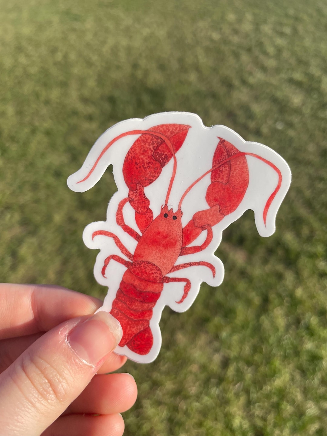 Lobster Sticker, Ocean Sticker, Die Cut Sticker, Vinyl Sticker, Sea ...