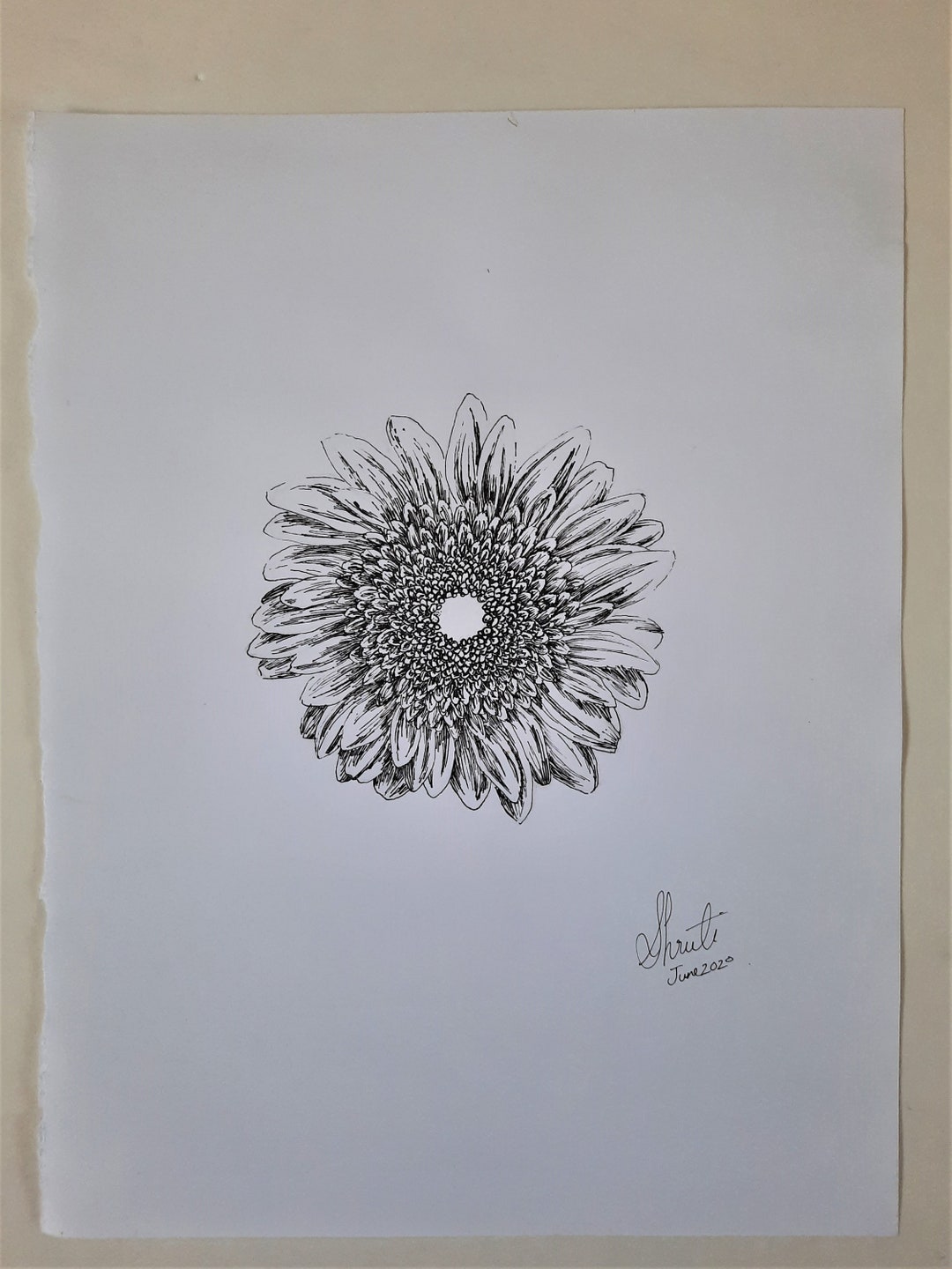 Daisy Ink Sketch | 11 in X 8.5 in | Botanical, Sketch, Drawing, Floral ...