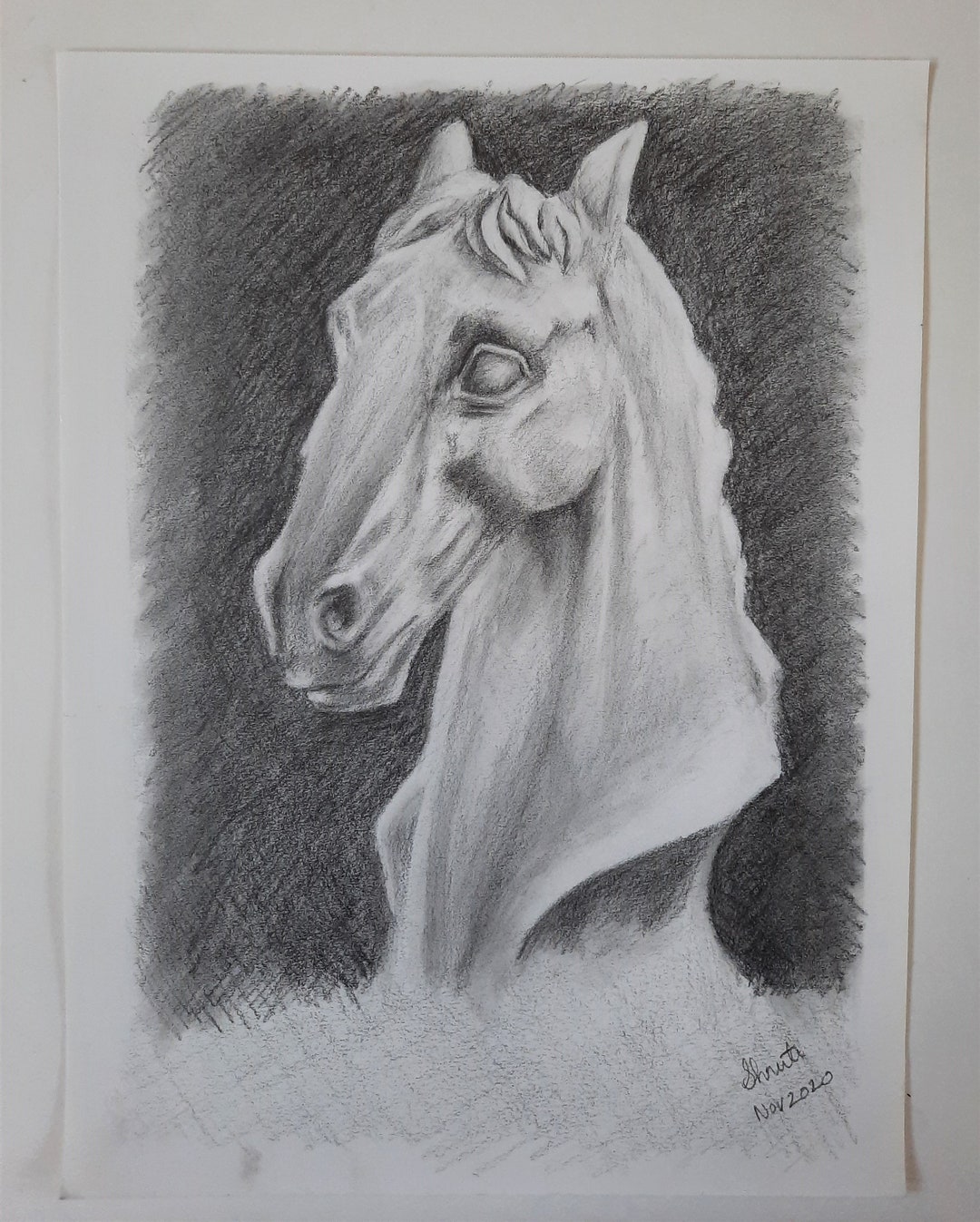 Original Horse Caste Graphite Drawing | 11 X 14 Inches | Handmade ...