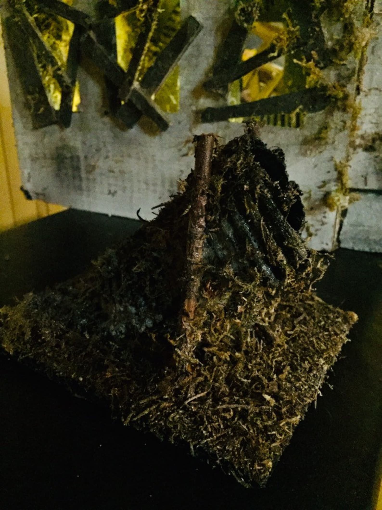 Jeepers Creepers Church LARGE the Creeper Drain Pipe - Etsy UK