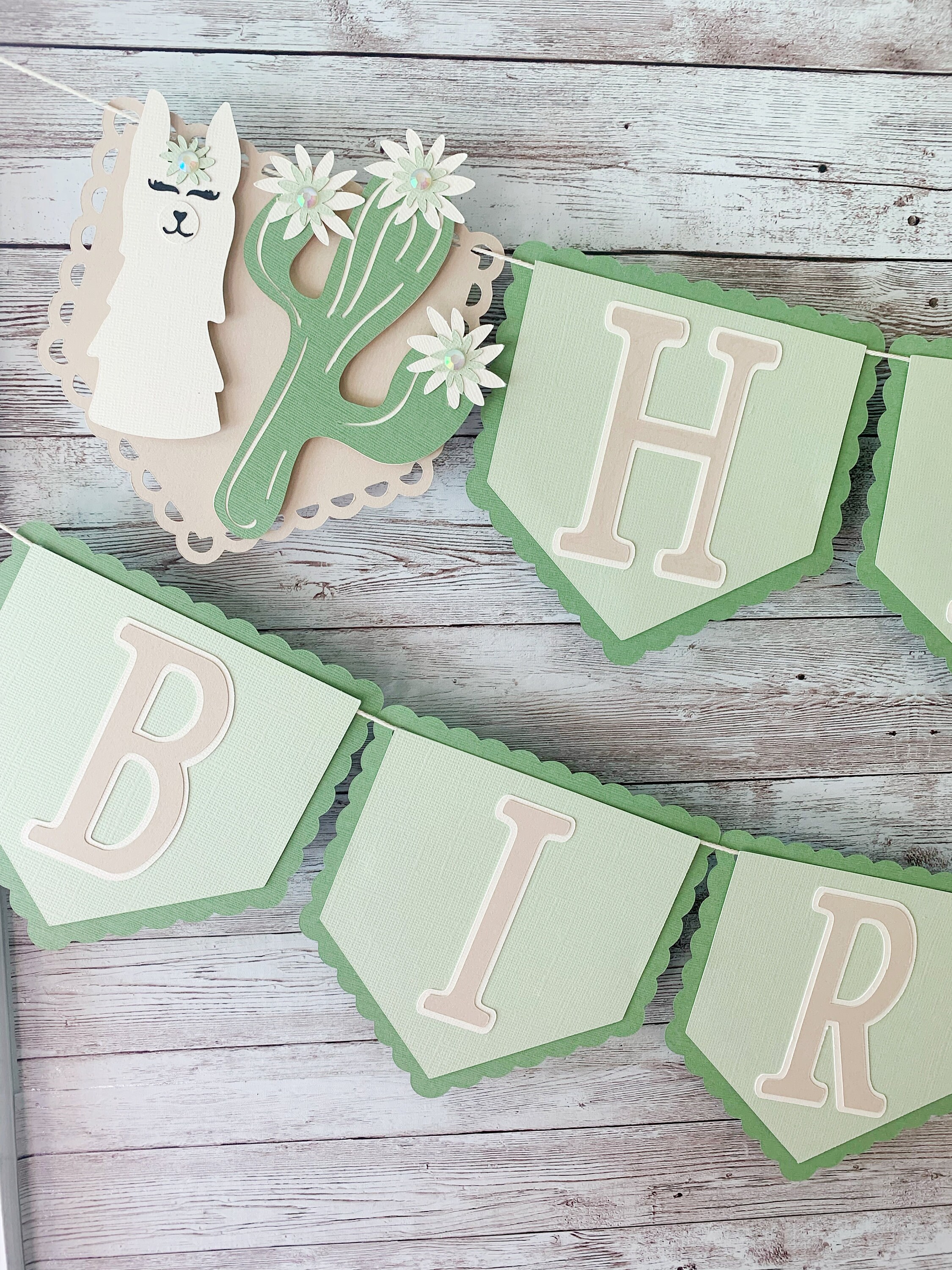 Llama Party Decor, Cactus Party Decor, Fiesta Party Decor, Llama ...
