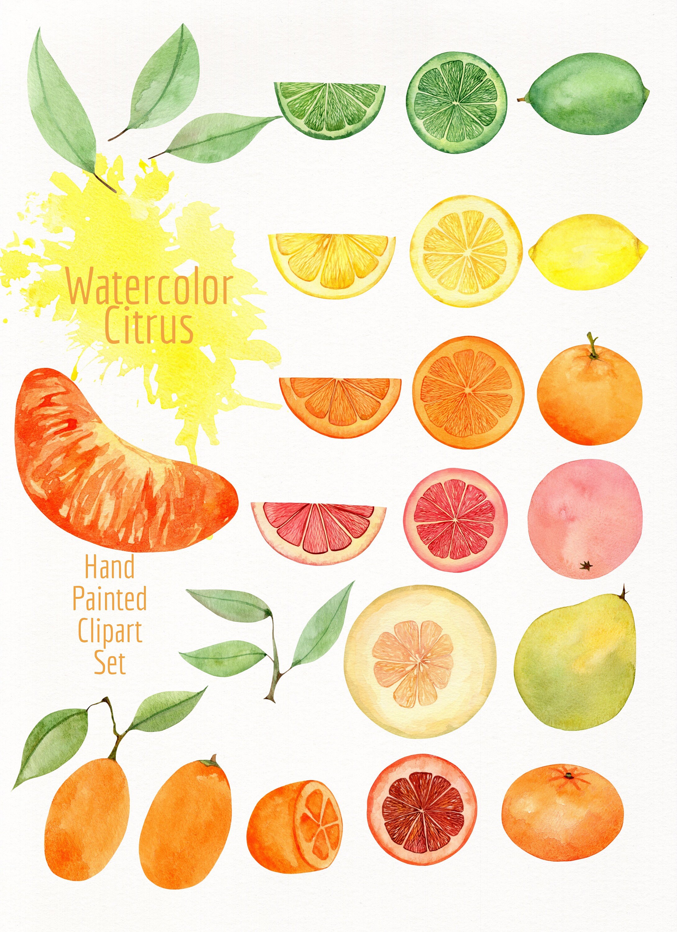 Watercolor Citrus PNG Clipart- Hand Painted Clipart Set- Summer ...