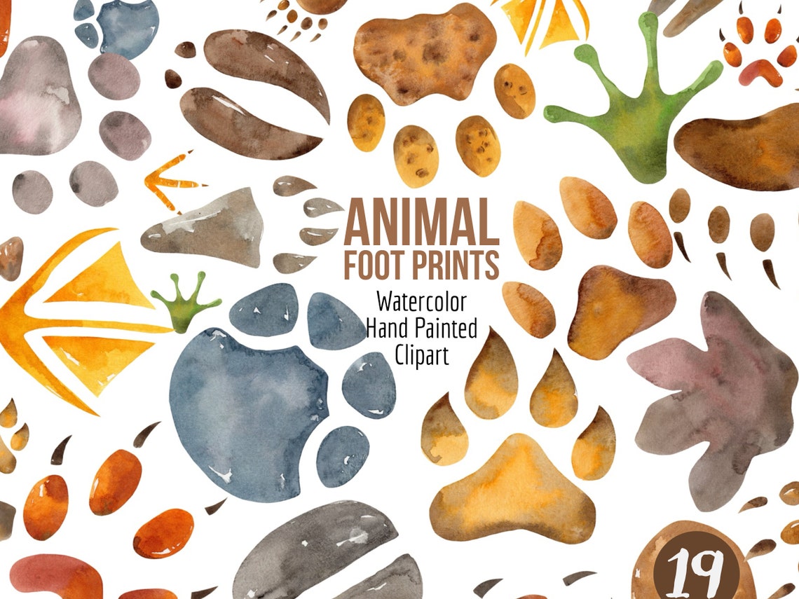 Watercolor Animal Footprints Clipart- Hand Painted PNG Animal Foot ...