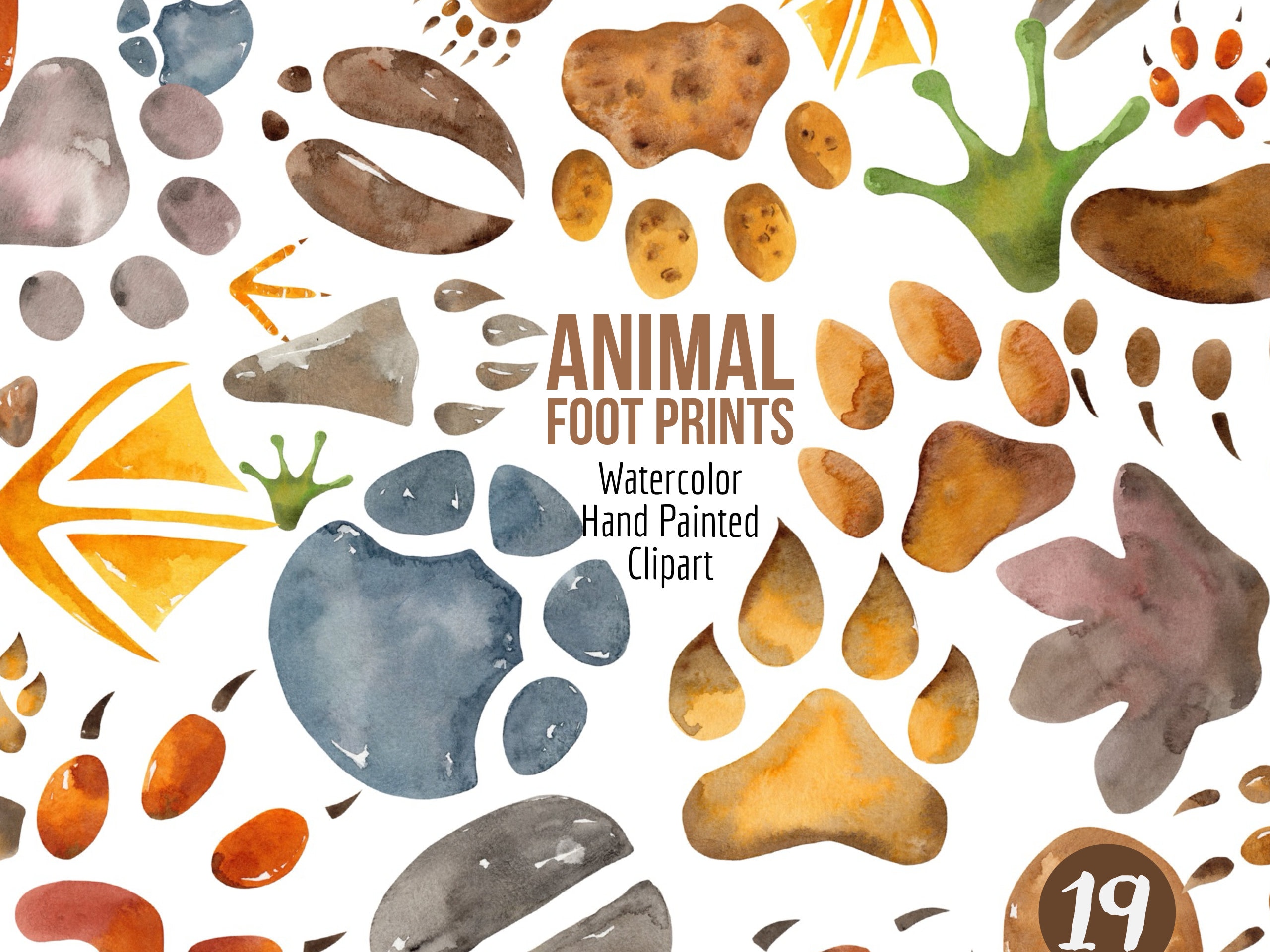 Watercolor Animal Footprints Clipart- Hand Painted PNG Animal Foot ...