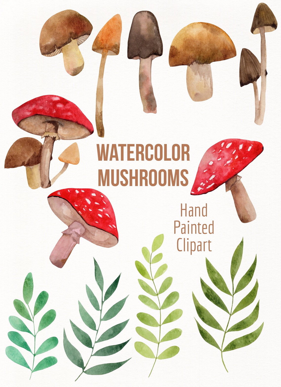 Watercolor Mushroom Clipart- Mushroom PNG- Mushroom Graphics- Mushroom ...