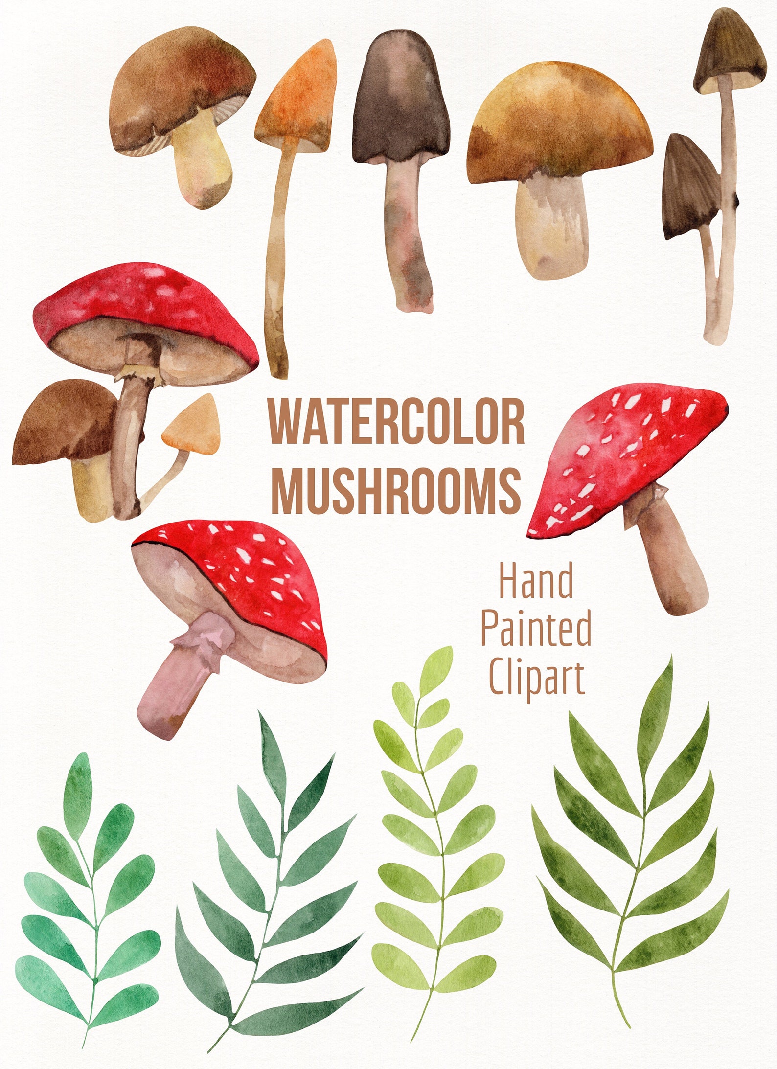 Watercolor Mushroom Clipart- Mushroom PNG- Mushroom Graphics- Mushroom ...