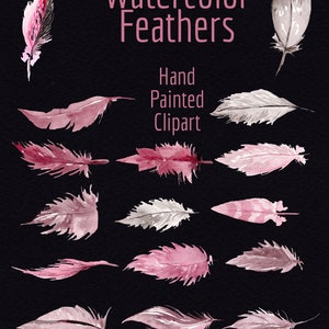 Watercolor Feathers Clipart- Hand Painted Feathers- Feather Graphics ...