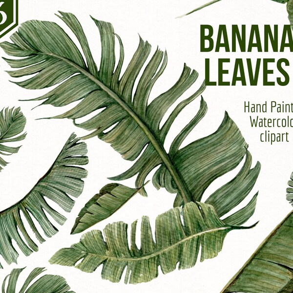 Banana Leaf Clipart - Etsy