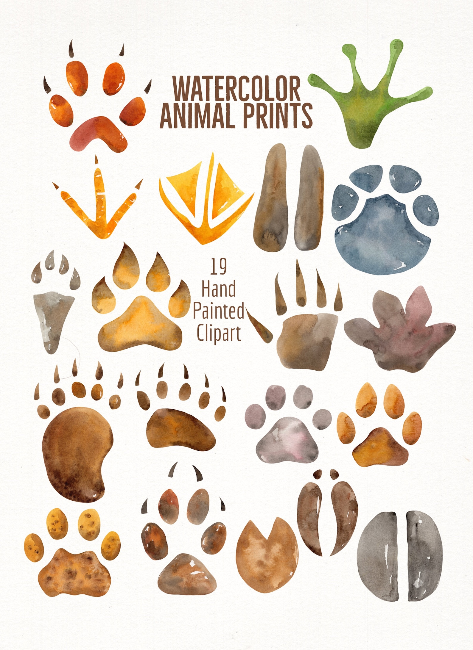 Watercolor Animal Footprints Clipart- Hand Painted PNG Animal Foot ...