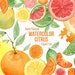 Watercolor Citrus PNG Clipart- Hand Painted Clipart Set- Summer ...
