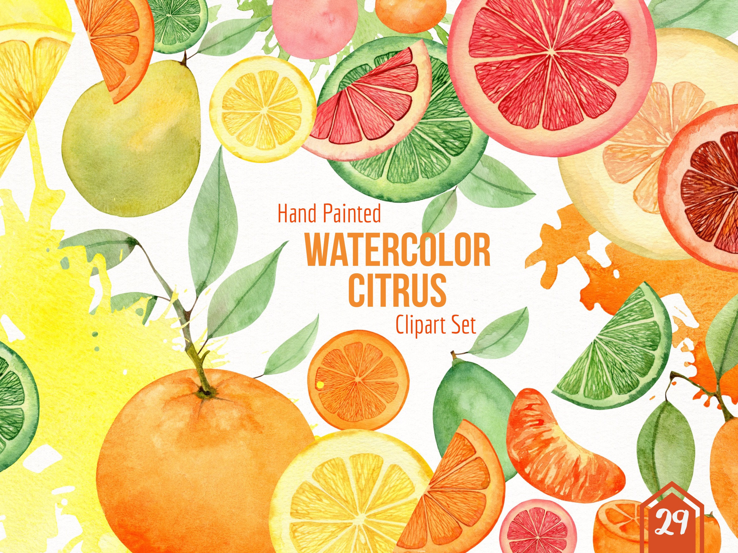 Watercolor Citrus PNG Clipart- Hand Painted Clipart Set- Summer ...