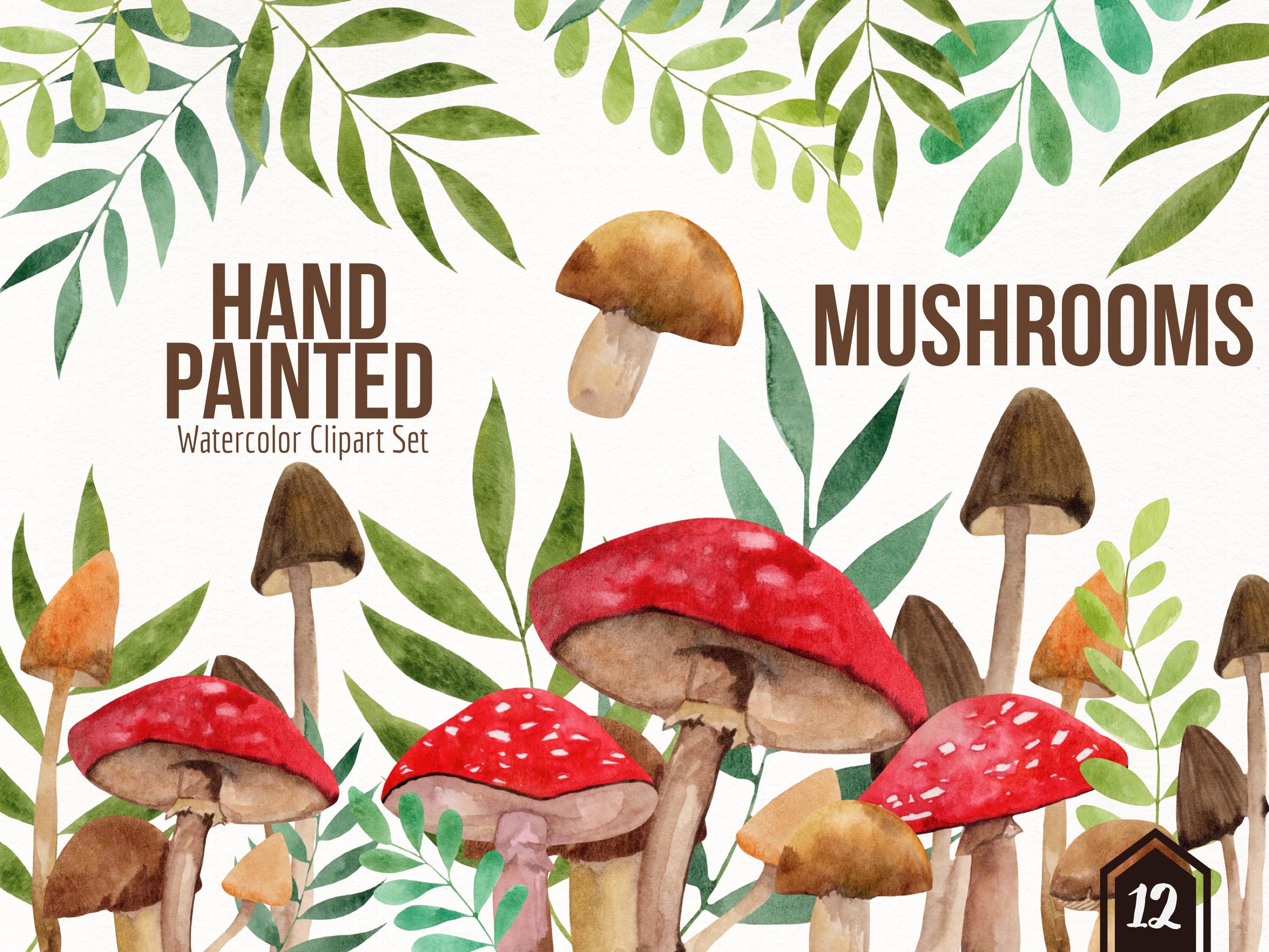 Watercolor Mushroom Clipart- Mushroom PNG- Mushroom Graphics- Mushroom ...