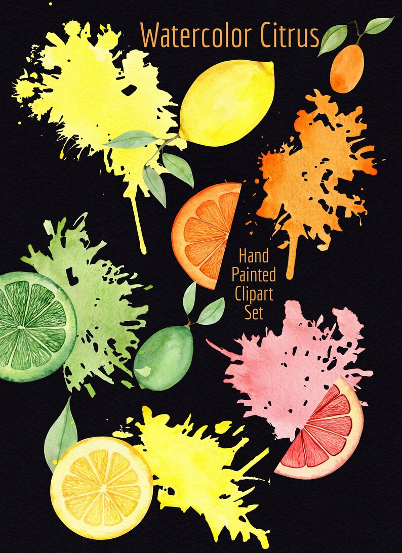 Watercolor Citrus PNG Clipart- Hand Painted Clipart Set- Summer ...